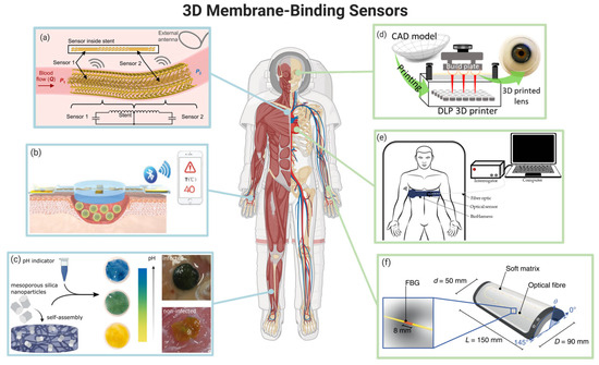 Membranes | Free Full-Text | Development and Prospective Applications ...