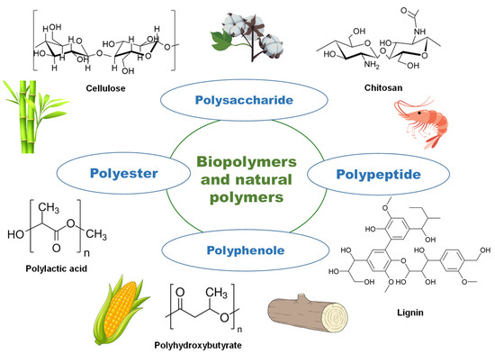 Innovative Bioactive Nanofibrous Materials Combining Medicinal and ...
