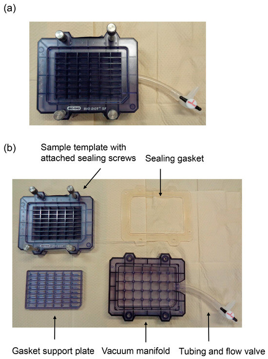 Membranes | Free Full-Text | Potential of the Novel Slot Blot Method ...