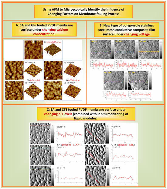 Membranes | Free Full-Text | Employing Atomic Force Microscopy (AFM) for Microscale ...