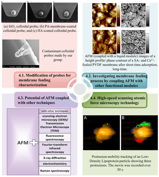 Membranes | Free Full-Text | Employing Atomic Force Microscopy (AFM) for Microscale ...