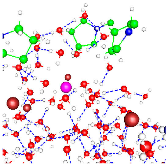 Water, Protons, and the Gating of Voltage-Gated Potassium Channels