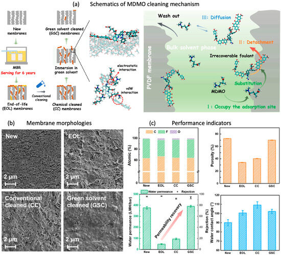 Sustainability in Membrane Technology: Membrane Recycling and ...