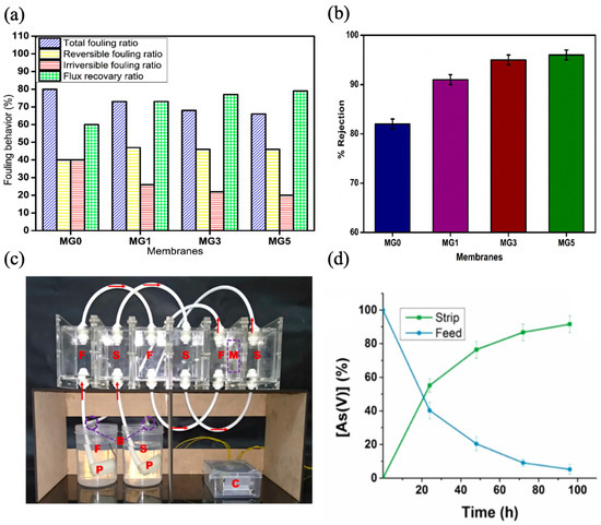 Sustainability in Membrane Technology: Membrane Recycling and ...