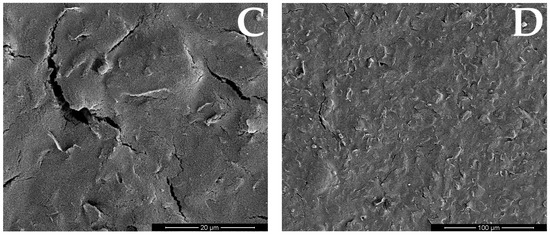 Screen-Printed Carbon Electrode Modified with Carbon Nanotubes and ...