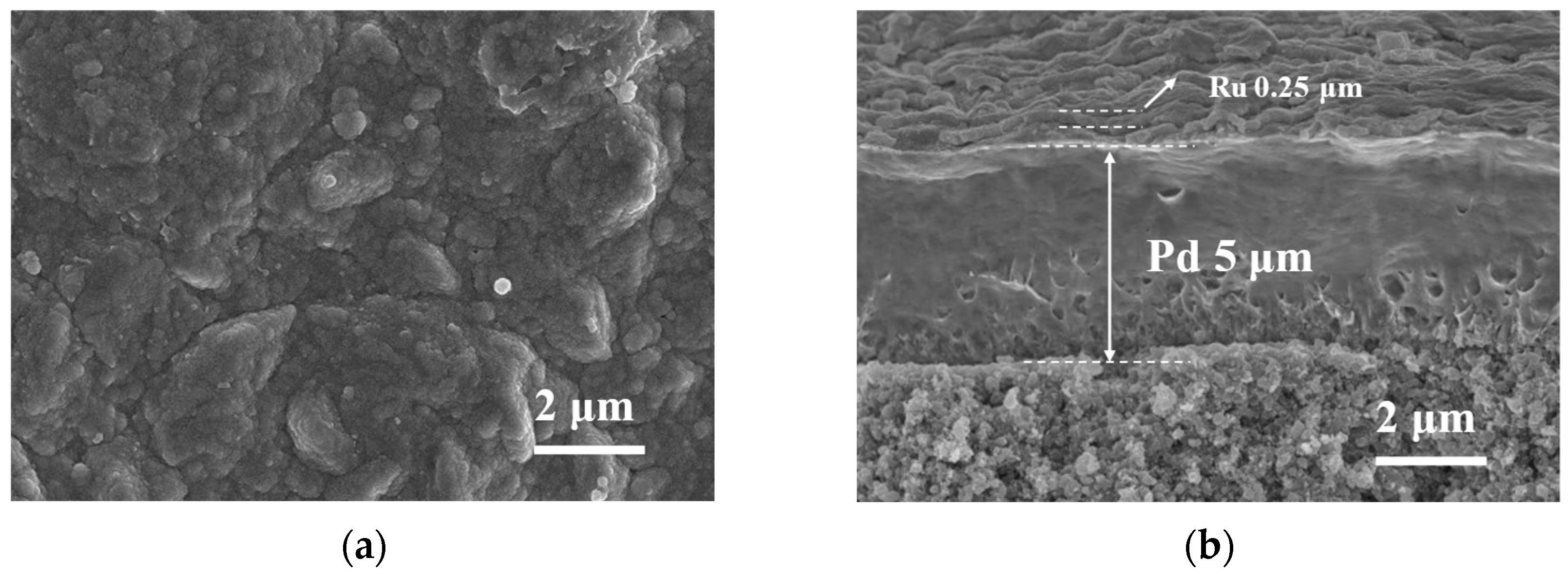 Hydrogen Flux Inhibition of Pd-Ru Membranes under Exposure to NH3