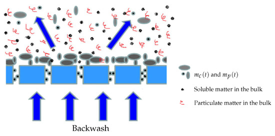 Coupling a Simple and Generic Membrane Fouling Model with Biological ...