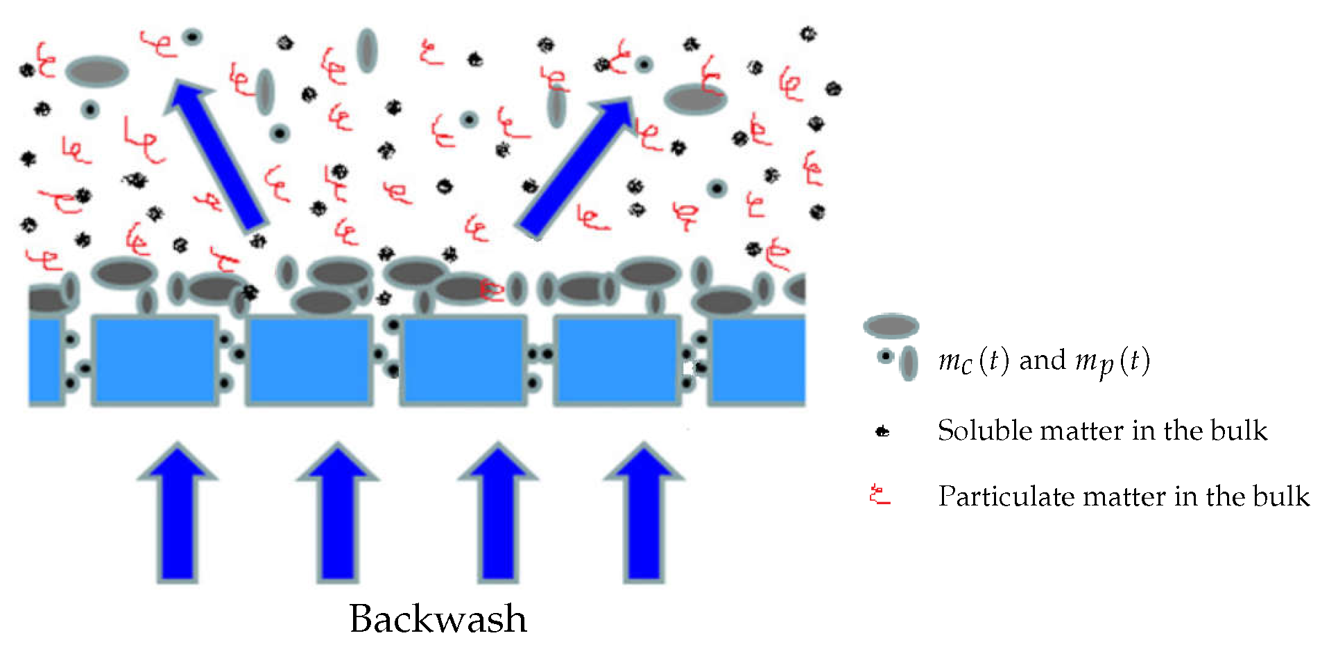Coupling a Simple and Generic Membrane Fouling Model with Biological ...