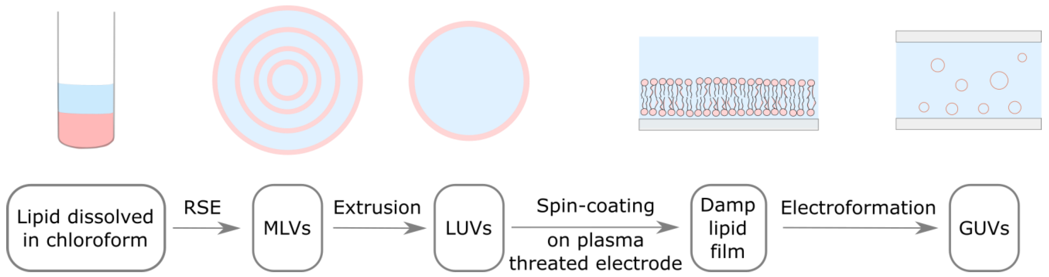 Electroformation of Giant Unilamellar Vesicles from Damp Lipid Films ...