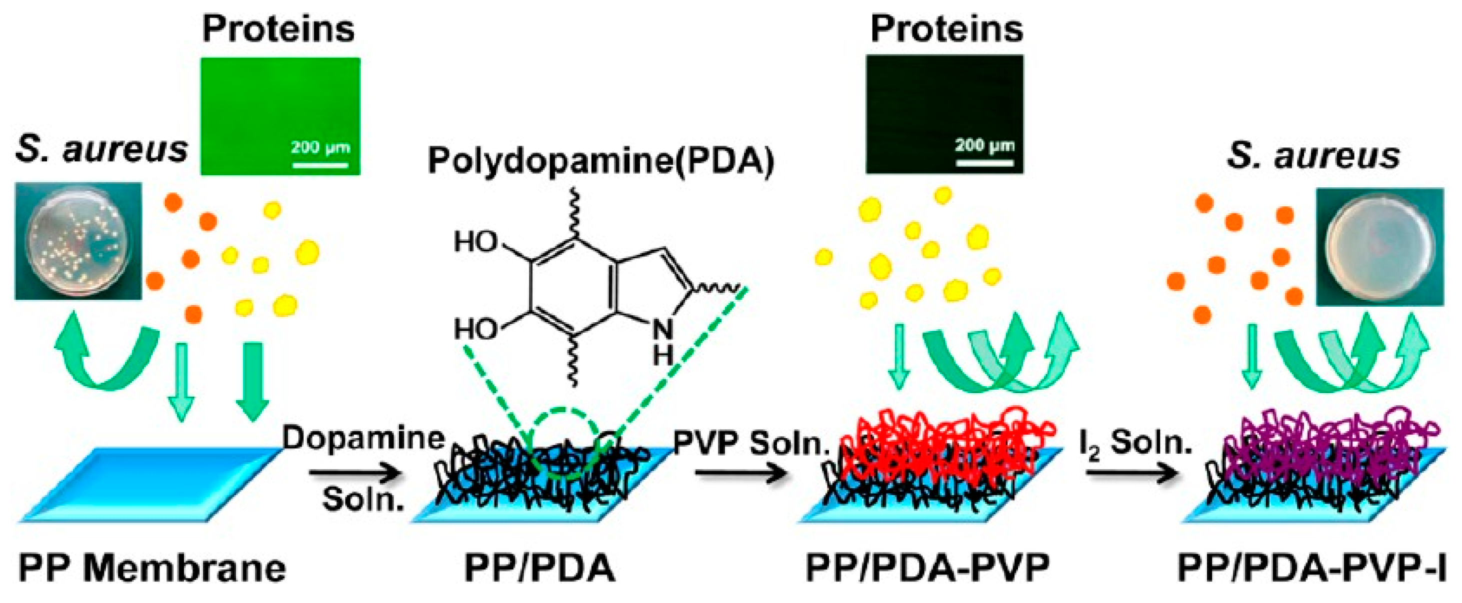 Membranes | Free Full-Text | Recent Advances in Dopamine-Based Membrane ...
