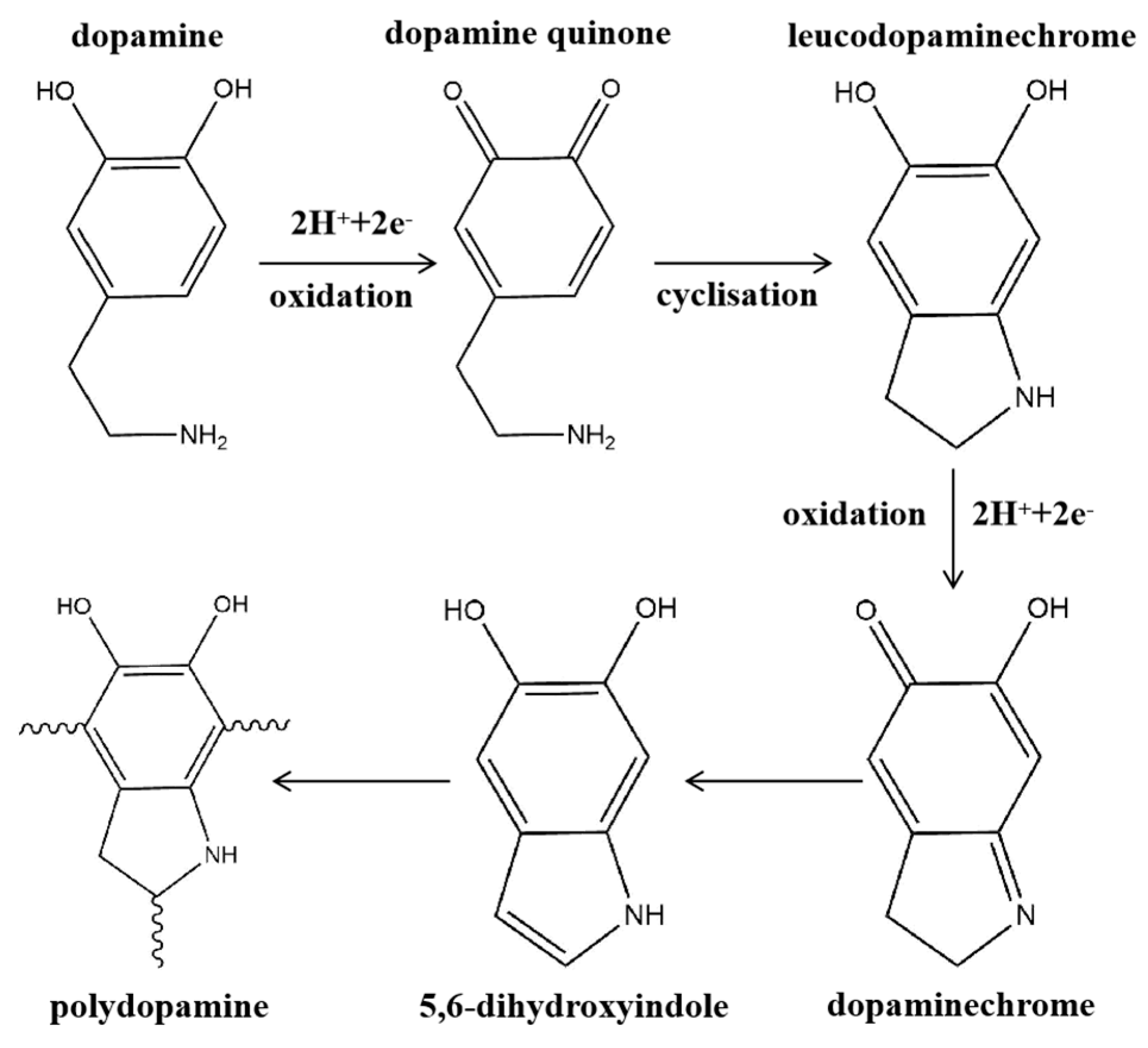 Membranes | Free Full-Text | Recent Advances in Dopamine-Based Membrane ...