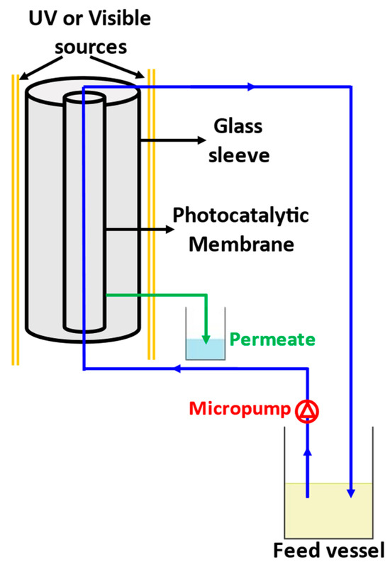 Membranes | Free Full-Text | Mo-BiVO4 Photocatalytically Modified ...