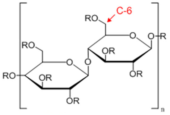 Cellulose Membranes: Synthesis and Applications for Water and Gas ...