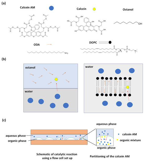Lipid-Based Catalysis Demonstrated by Bilayer-Enabled Ester Hydrolysis