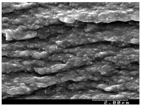 Membranes | Free Full-Text | New Insights on Y, La, Nd, and Sm ...