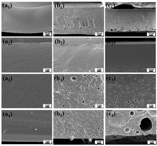 Enhancing the Separation Performance of Cellulose Membranes Fabricated ...