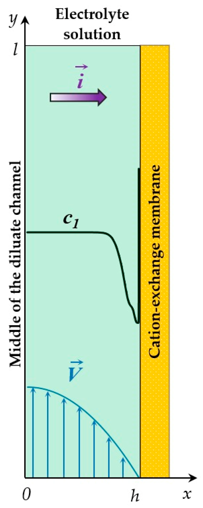 Theoretical Study of the Influence of Electroconvection on the ...