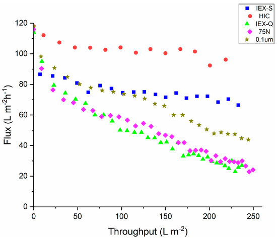Enhancing Virus Filter Performance Through Pretreatment by Membrane ...