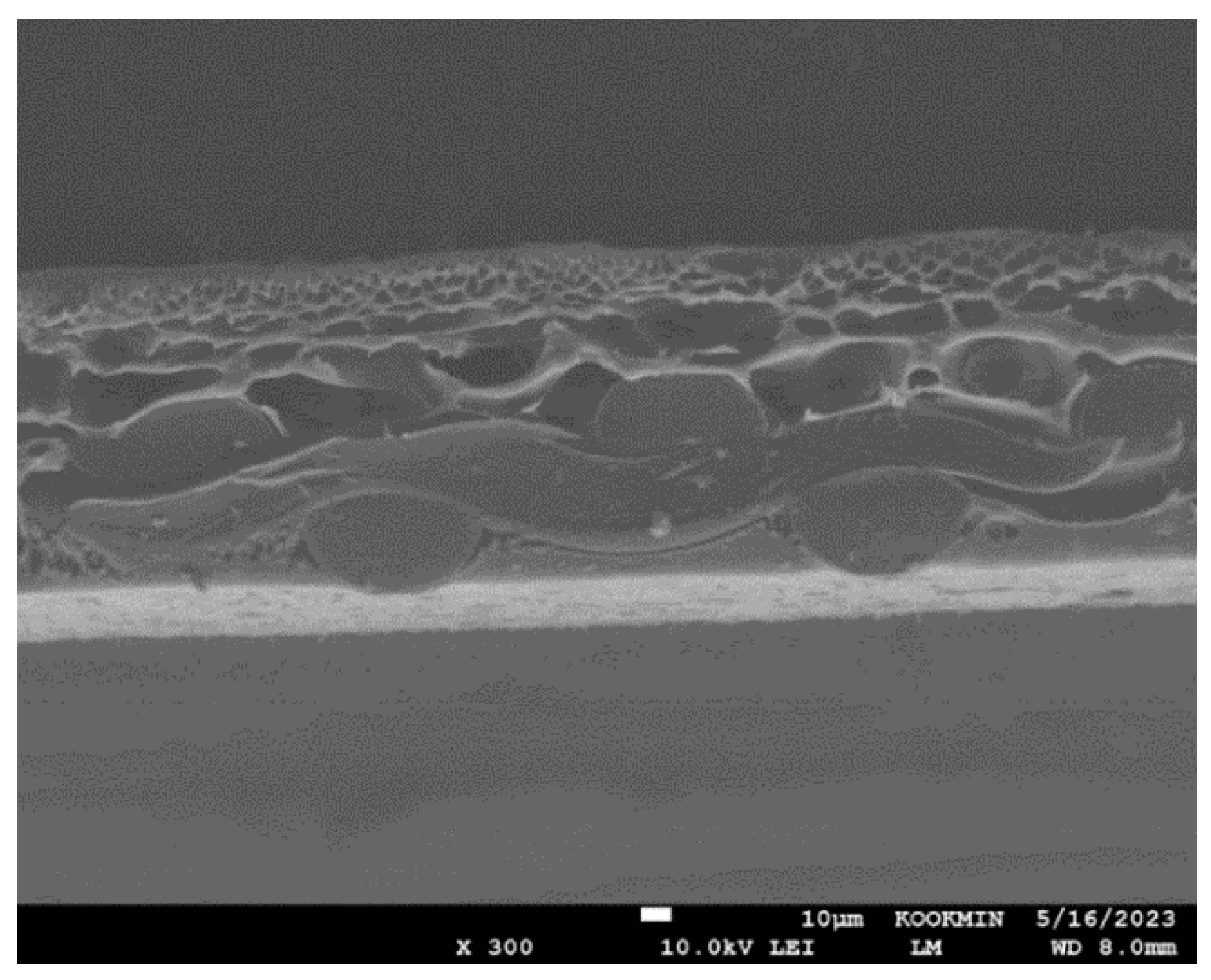 Application of Membrane Capacitive Deionization as Pretreatment ...