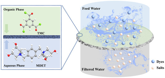 Loose Polyester Nanofiltration Membrane Designed with Hydroxyl-Ammonium for Efficient Dye/Salt ...