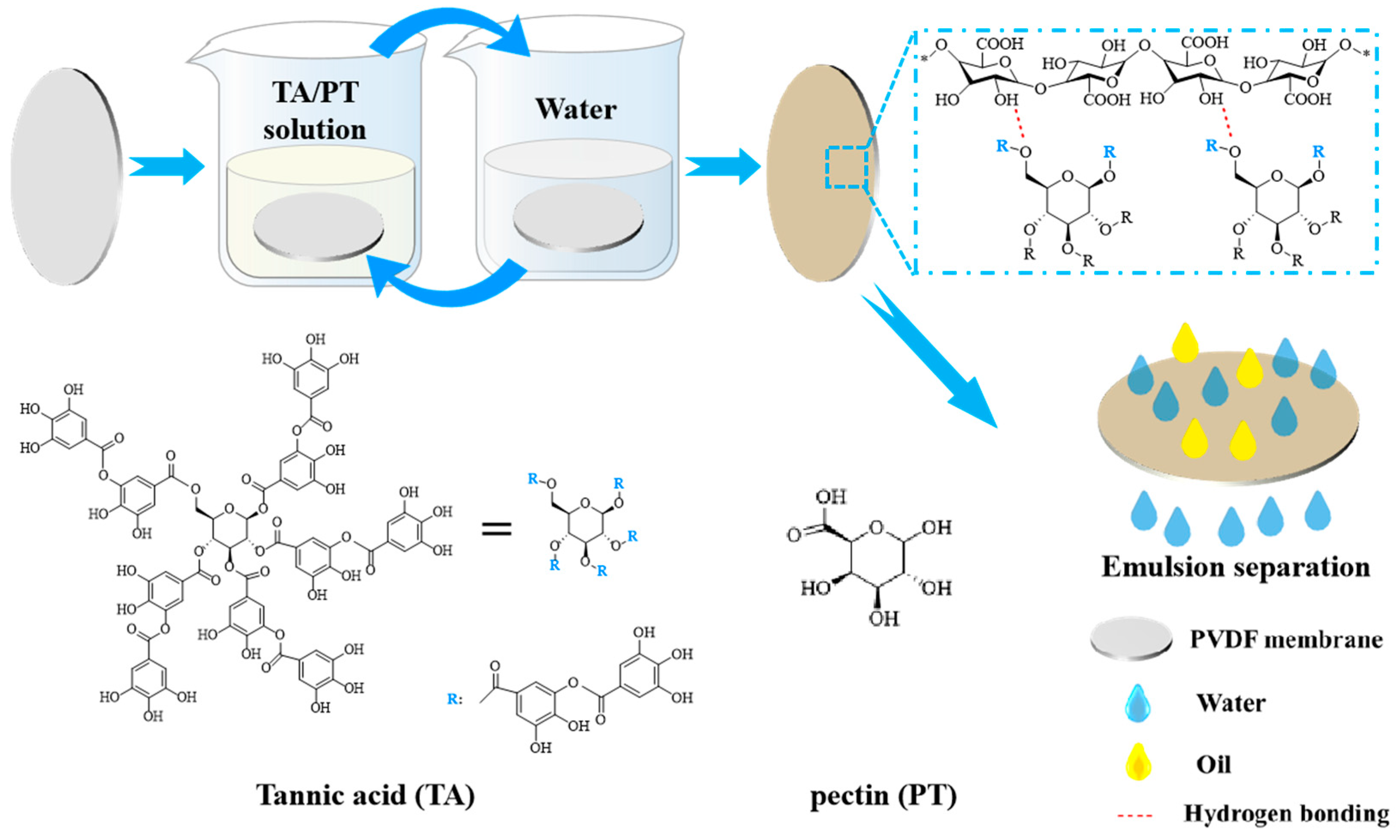 Preparation of Tannic Acid-Pectin Coated PVDF Membrane for High ...