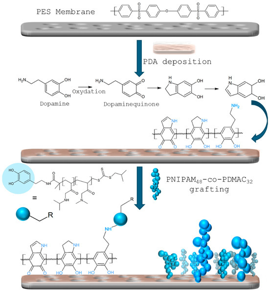 Development of Thermo-Responsive and Salt-Adaptive Ultrafiltration ...