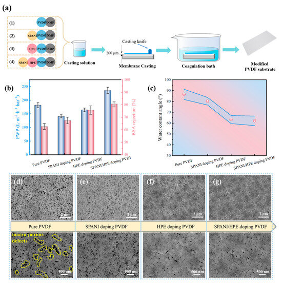 High-Performance Thin Film Composite Nanofiltration (NF) Membrane ...