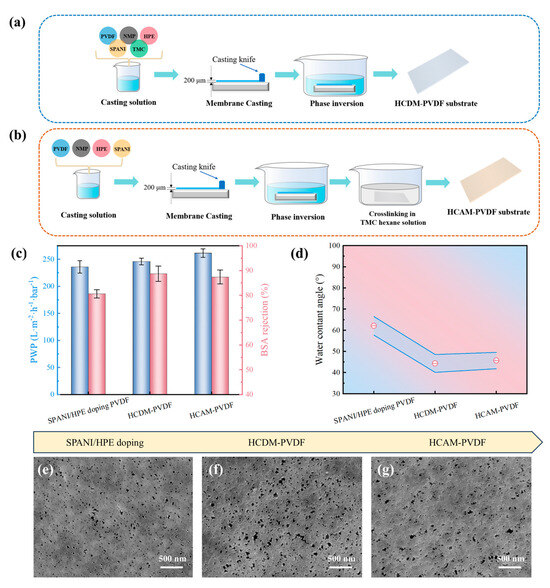 High-Performance Thin Film Composite Nanofiltration (NF) Membrane ...