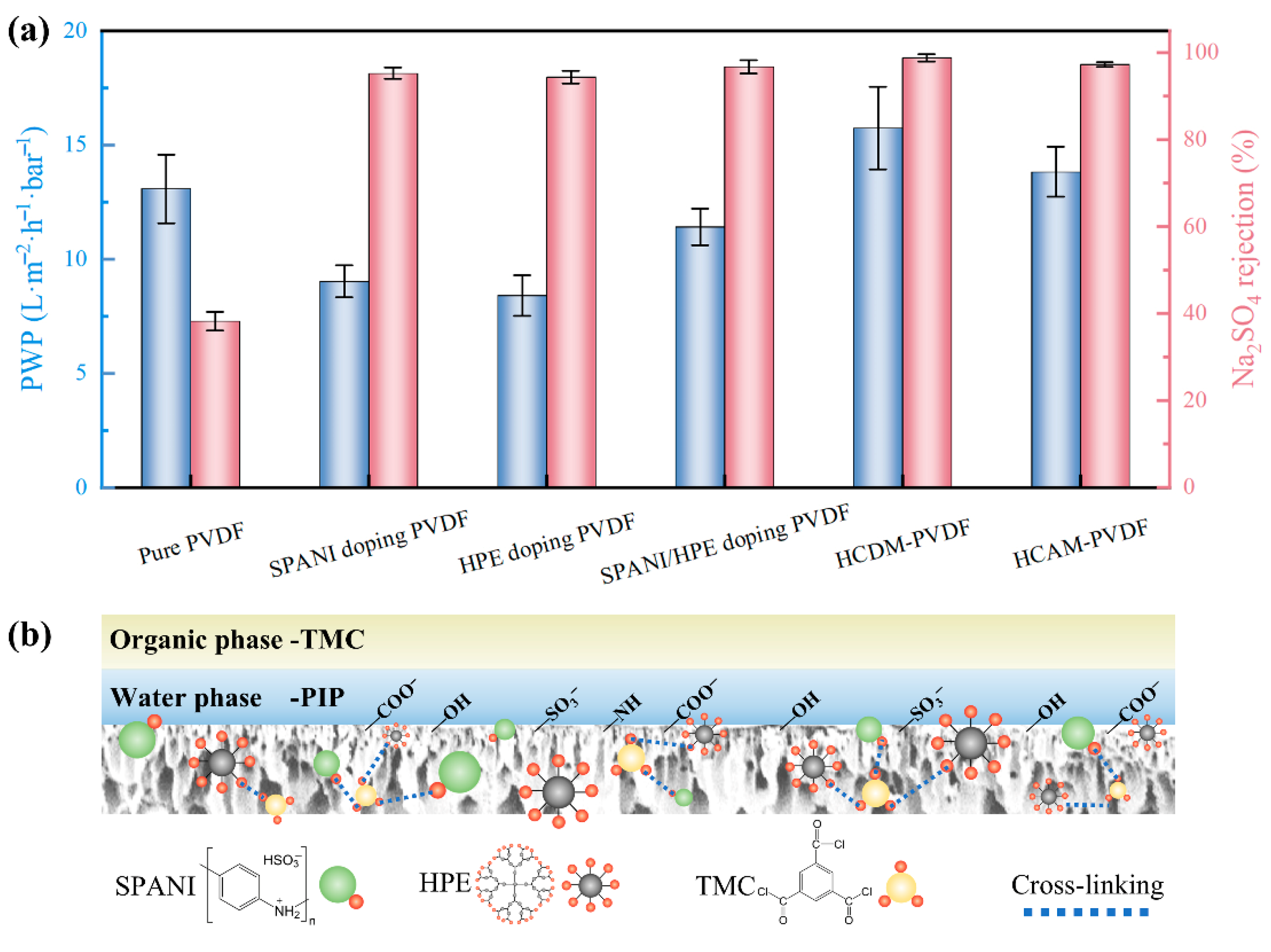 High-Performance Thin Film Composite Nanofiltration (NF) Membrane ...