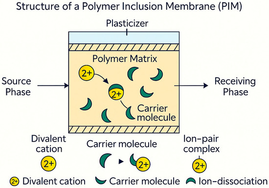 Recent Developments in Polymer Inclusion Membranes: Advances in ...