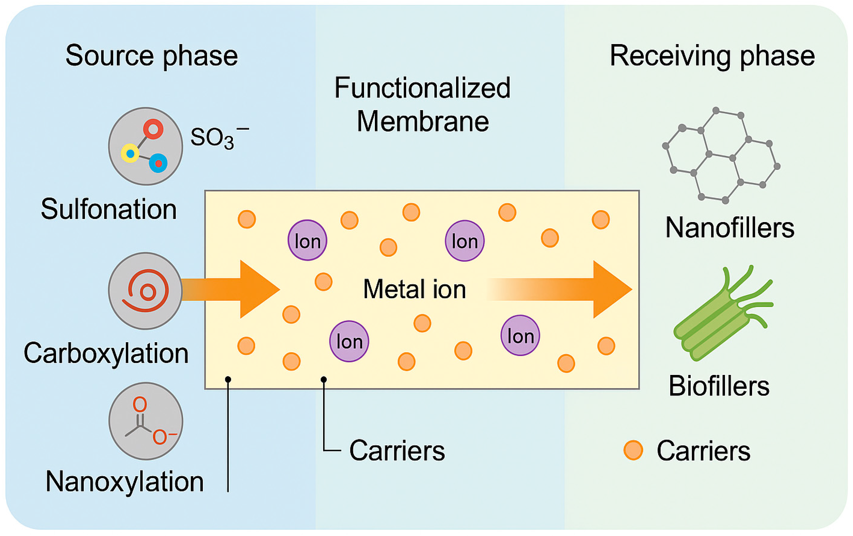 Recent Developments in Polymer Inclusion Membranes: Advances in ...