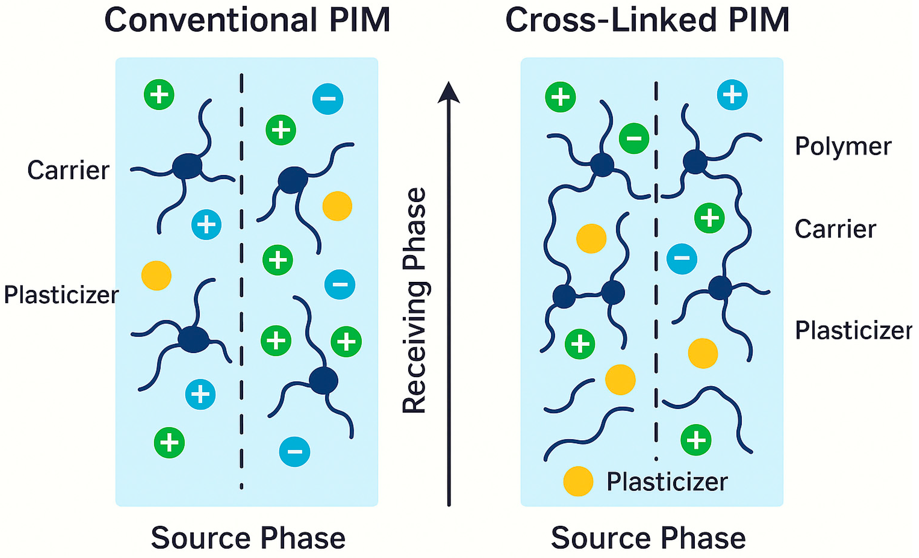 Recent Developments in Polymer Inclusion Membranes: Advances in ...