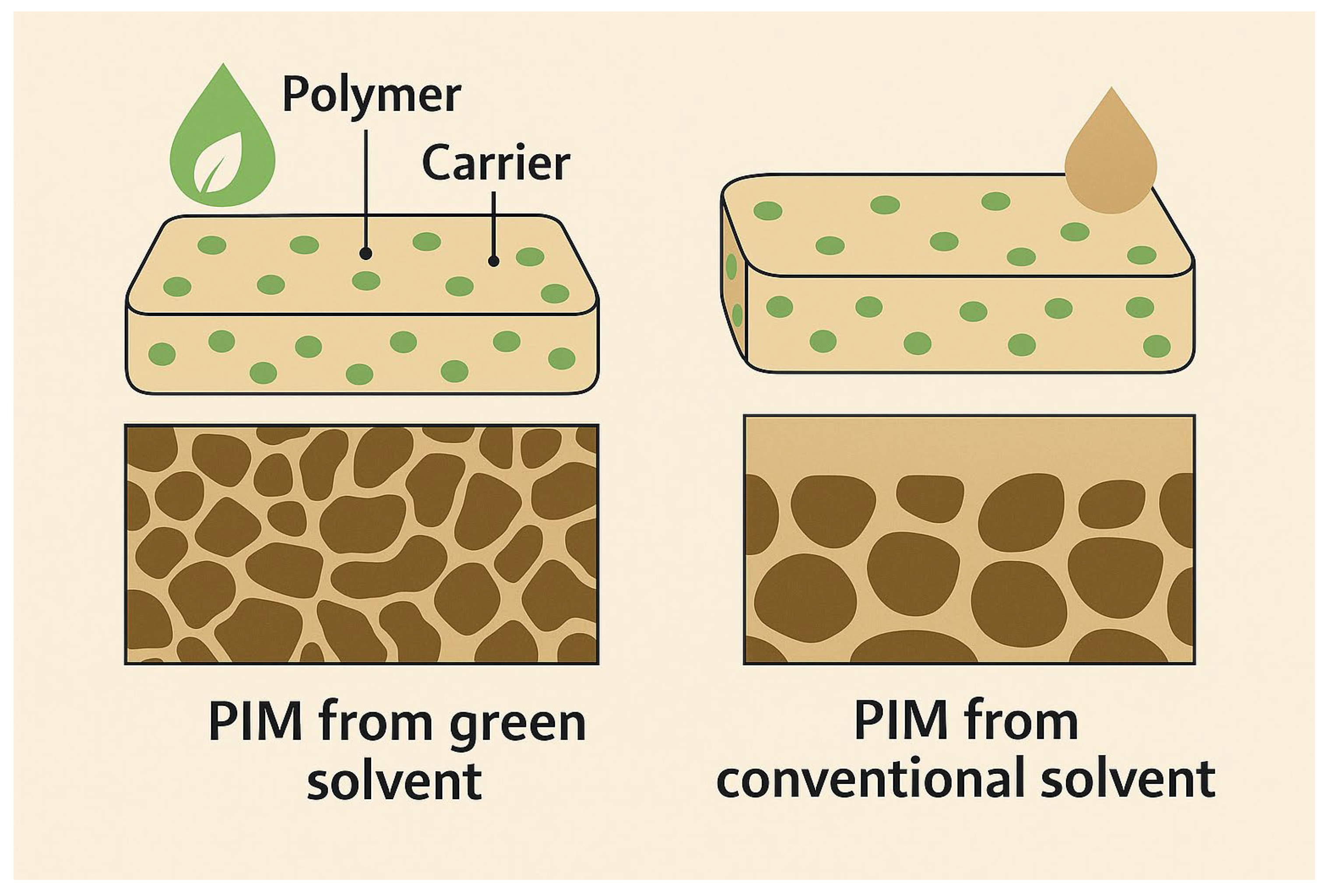 Recent Developments in Polymer Inclusion Membranes: Advances in ...