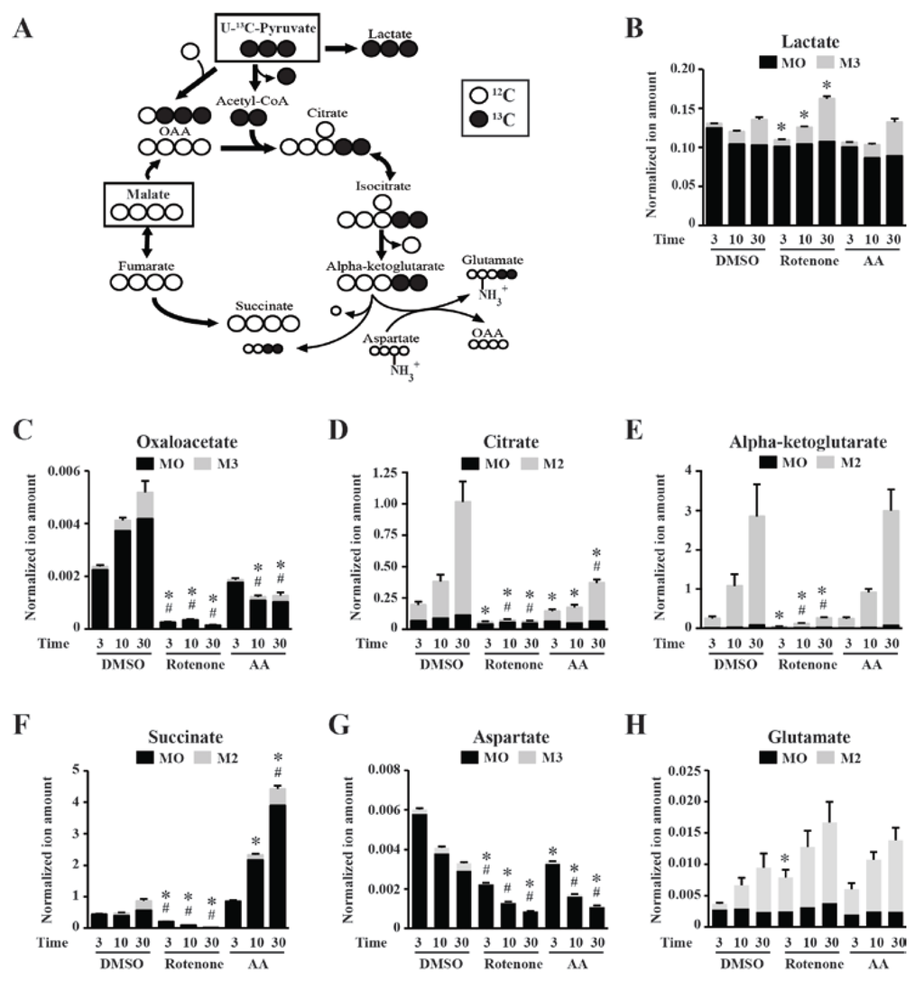 Metabolites | Special Issue : Cancer Metabolomics