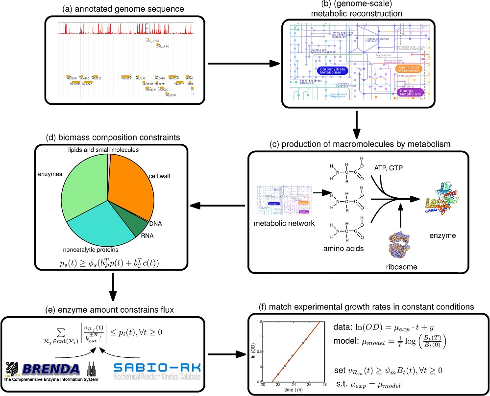 Metabolites | Free Full-Text | A Protocol for Generating and Exchanging ...