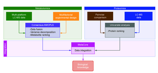 Metabolites | Free Full-Text | An Integrative Multi-Omics Workflow to ...