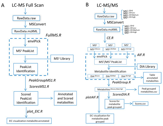 R-MetaboList 2: A Flexible Tool for Metabolite Annotation from High ...