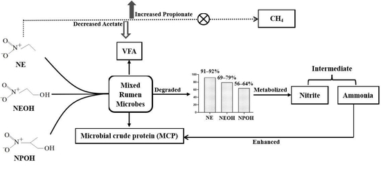 Metabolites | Free Full-Text | The Antimethanogenic Nitrocompounds Can ...