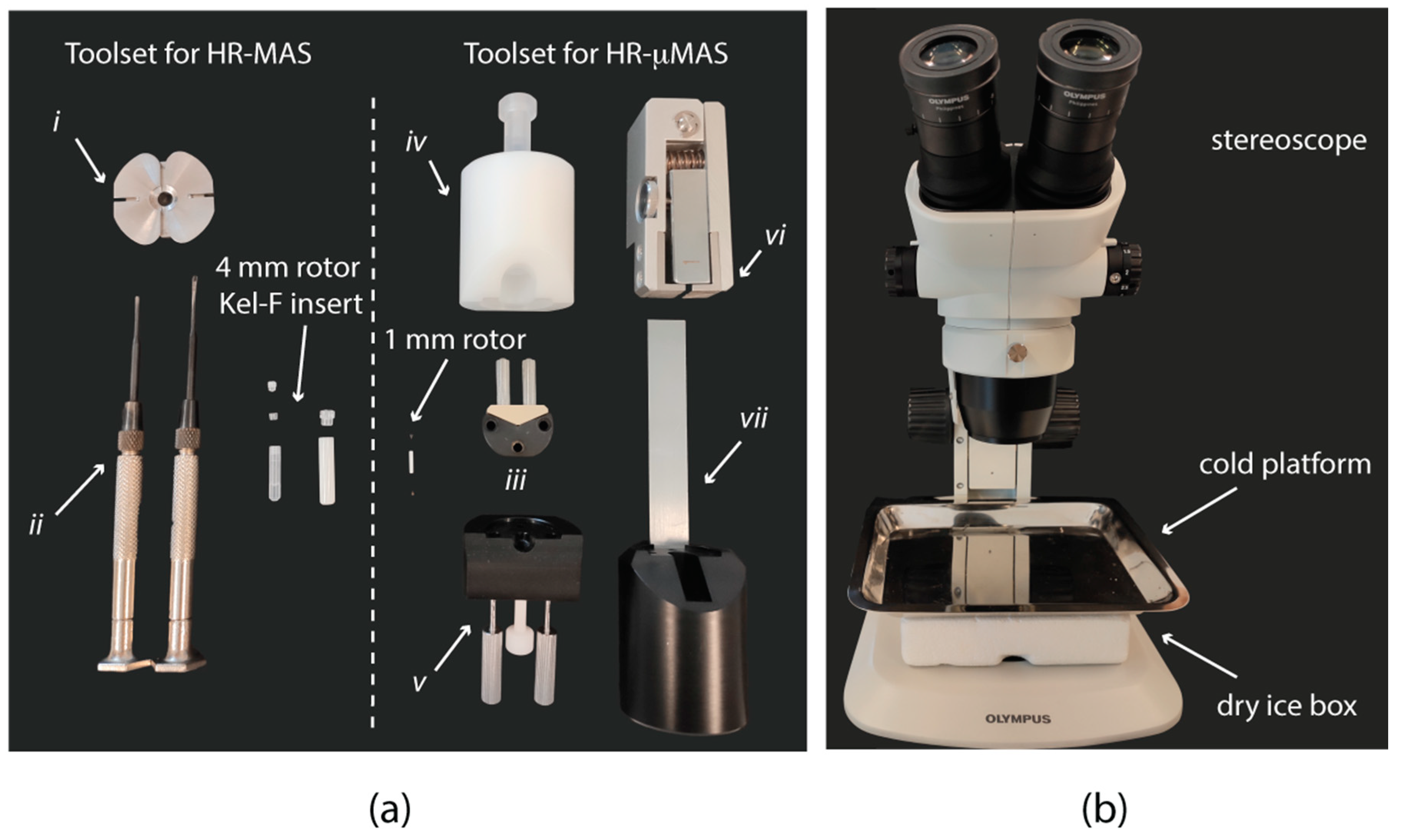 General Guidelines for Sample Preparation Strategies in HR-µMAS NMR ...
