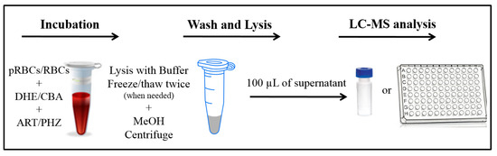 An LC–MS Assay to Measure Superoxide Radicals and Hydrogen Peroxide in ...