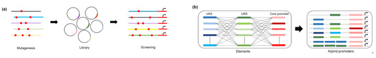 Promoter Architecture and Promoter Engineering in Saccharomyces cerevisiae