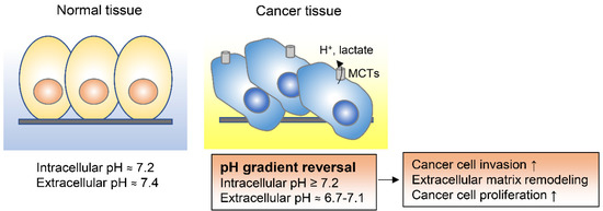 Metabolic Reprogramming of Cancer Cells during Tumor Progression and ...
