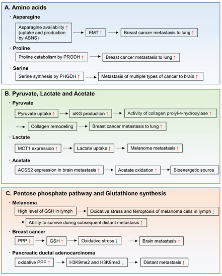Metabolic Reprogramming of Cancer Cells during Tumor Progression and ...