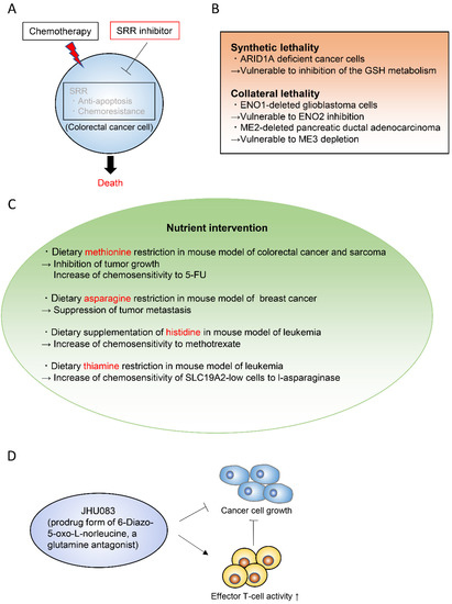 Metabolic Reprogramming of Cancer Cells during Tumor Progression and ...