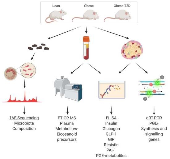 Metabolites | Free Full-Text | Systemic Metabolic Alterations Correlate ...