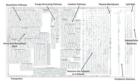 Pathway Tools Visualization of Organism-Scale Metabolic Networks