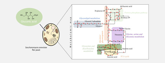 Metabolites | Special Issue : Metabolomics in Yeast and Fermentation ...