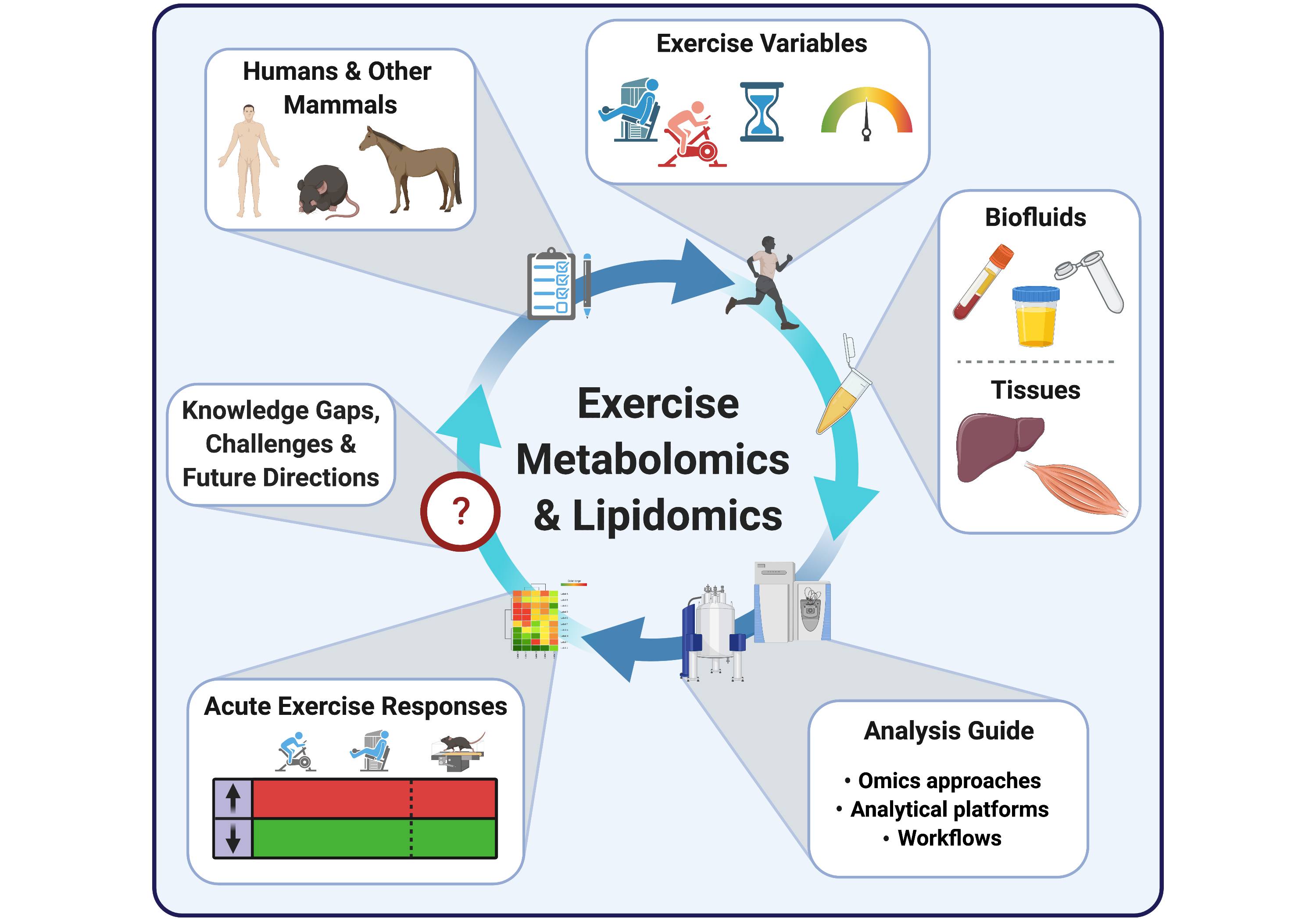 Metabolites | Free Full-Text | Metabolomics and Lipidomics: Expanding ...