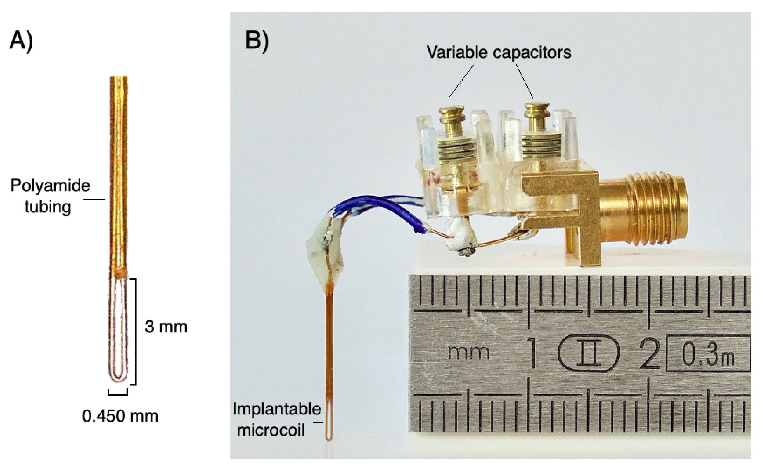 Implantable NMR Microcoils in Rats: A New Tool for Exploring Tumor ...