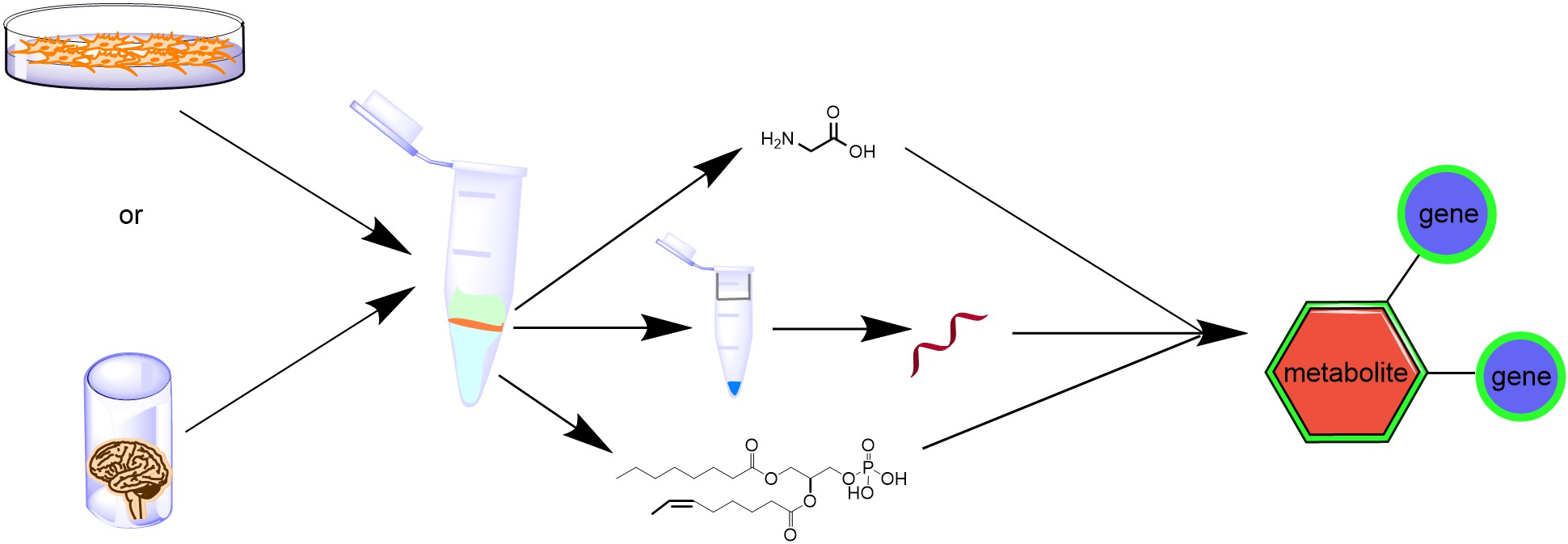 Metabolites | Free Full-Text | Integrated Metabolomics and ...